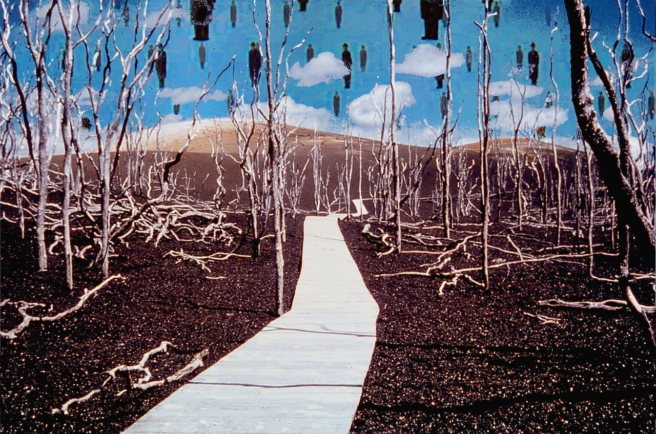 Pierre Naville Carved Out a Surrealist Path to Marxism | Felicia Ray Owens