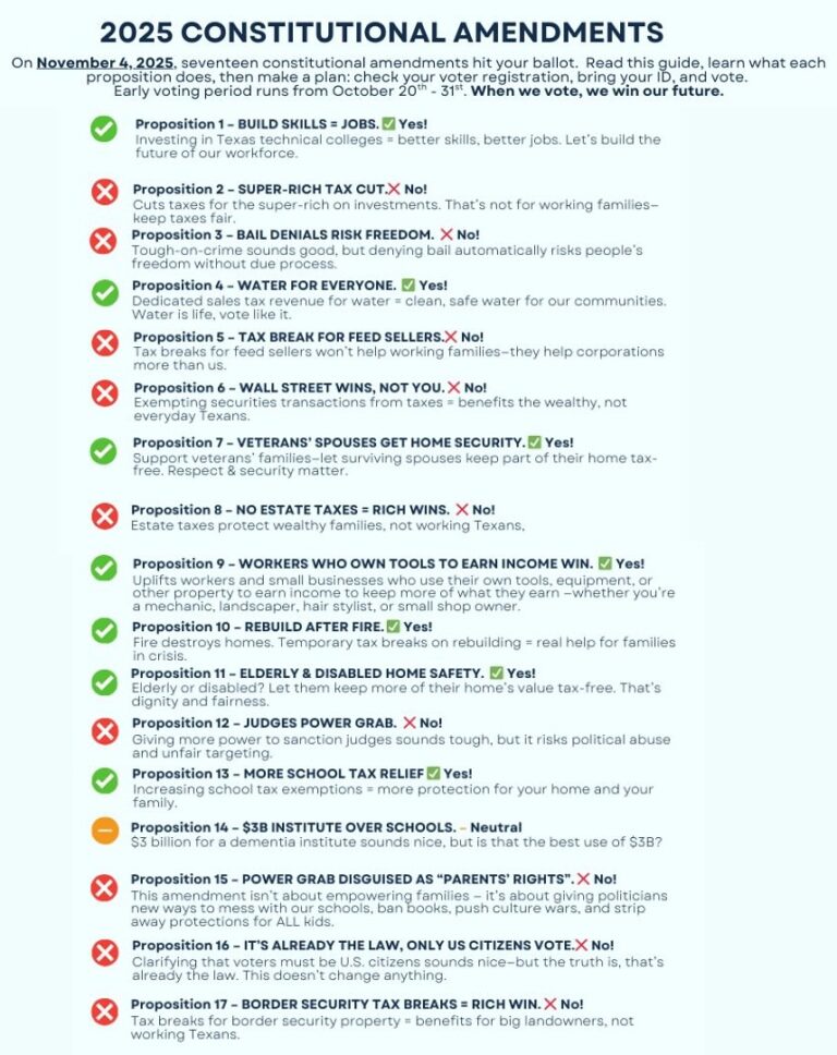 GO VOTE!!!! 2025 Constitutional Amendments